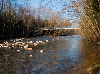 our-wateshed – Coquitlam River Watershed Society