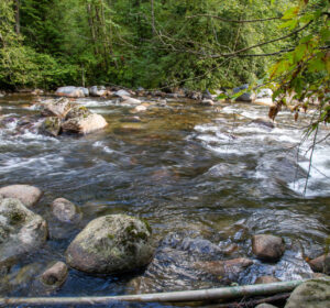 Coquitlam River Watershed | Watershed Canada