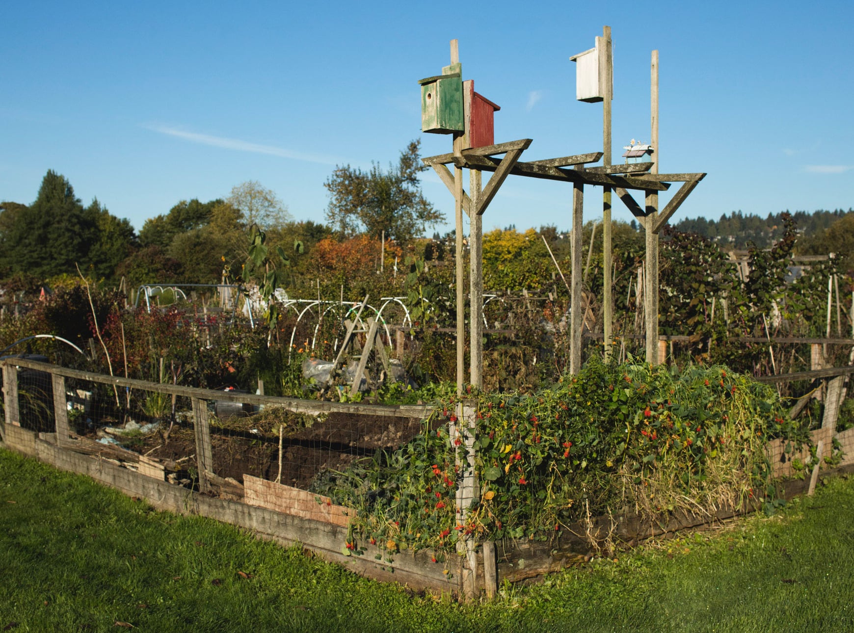 Colony Farm Regional Park – Coquitlam River Watershed Society